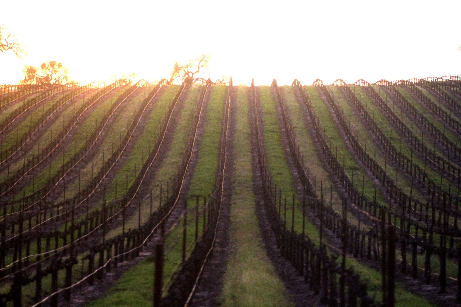 Mr.Wilson's Satellite Digital Photography Course: Key Assignment 3 ...