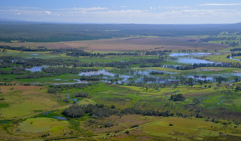 North Coast Voices: Well done, Iluka Green Army & Landcare volunteers