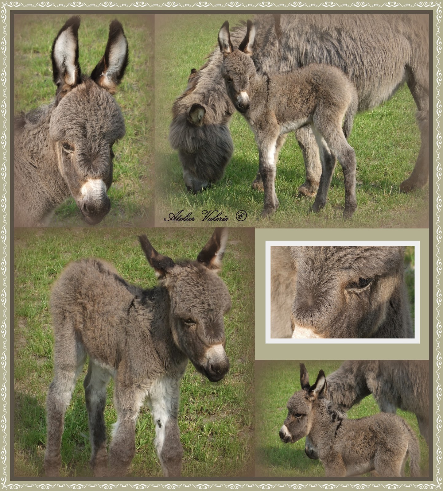 Atelier Valérie: Een geboorte