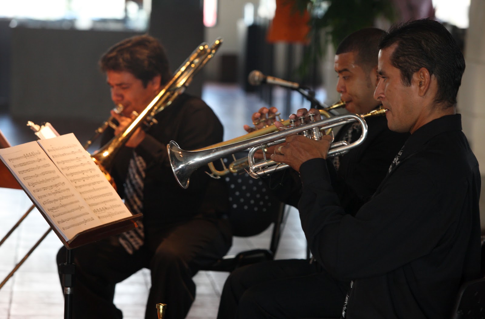 Choro, samba e bossa nova marcarão último dia do festival no São José ...