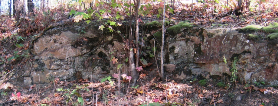 University of Arkansas Outcrops: L144