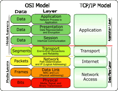Osi Dan Tcpip Model - Seputar Model