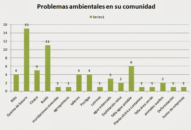 Desarrollo Comunitario Participativo, Problemas y Dificultades