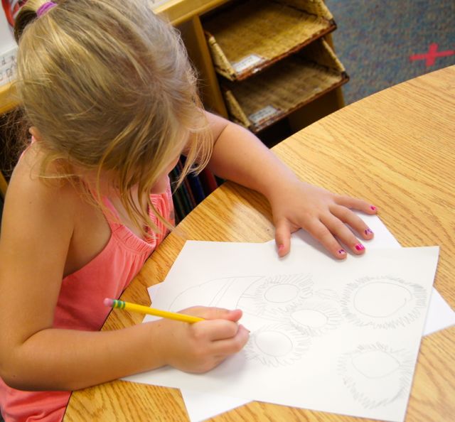 Hurray for FDK!: Directed Drawing - van Gogh Sunflowers