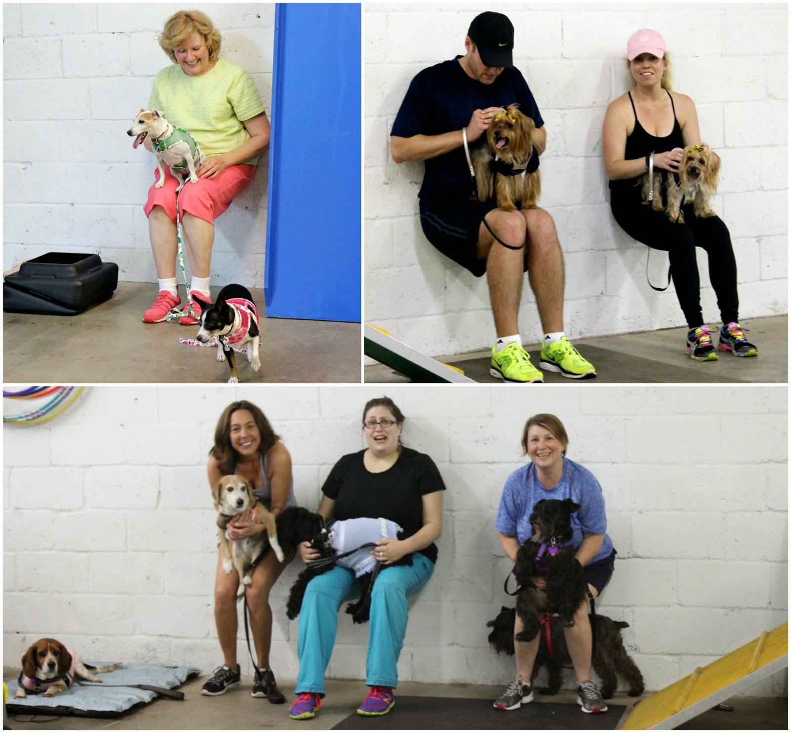 To Dog With Love: Pup Scouts Get Fit With Fidos and Fight Cancer at K9 ...