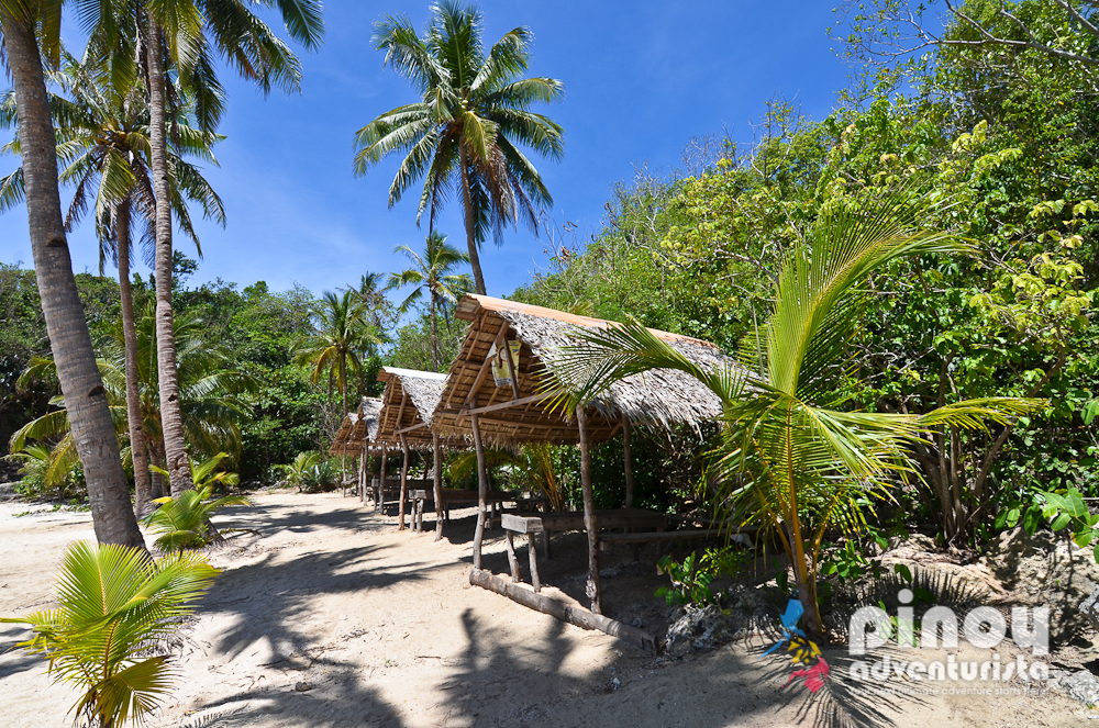 I fell in love with Halea Nature Park in Monreal, Ticao Island, Masbate ...