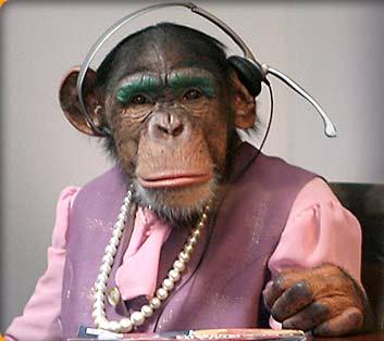 Que es atento call center - friendlygerty