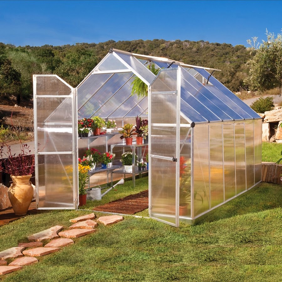 Sera Mea (Cultivarea Plantelor în Seră): Afacere cu cultivarea ...