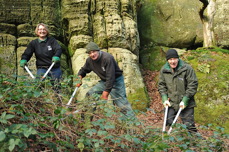 Southern Sandstone Climbs: Eridge Rocks Makeover - Sussex Wildlife Trust