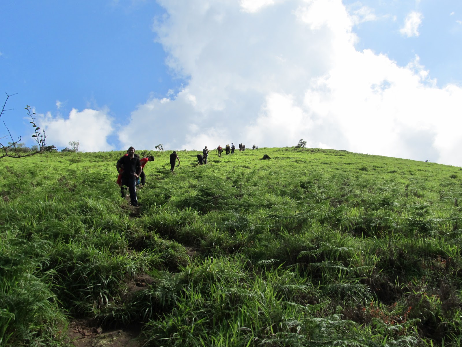Expressing Myself: Heavenly trek to Kodachadri