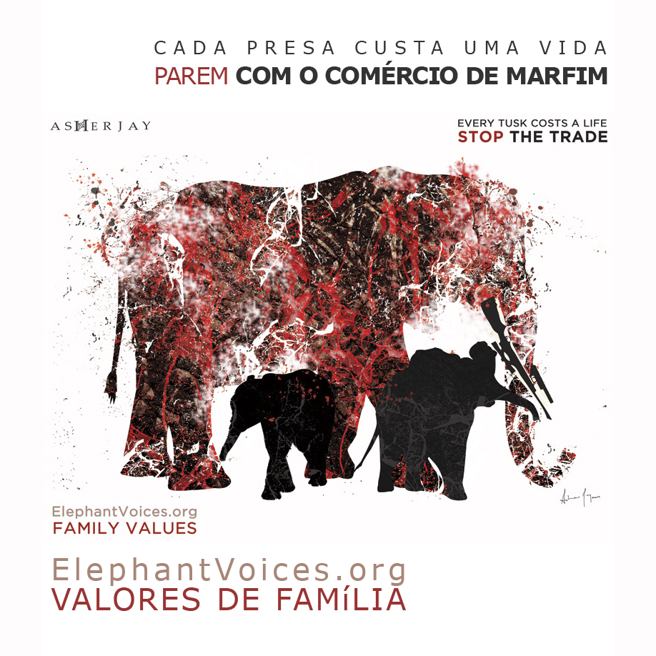 ElephantVoices Brasil: Uma Caminhada pela Vida Selvagem e Pelo Fim do ...