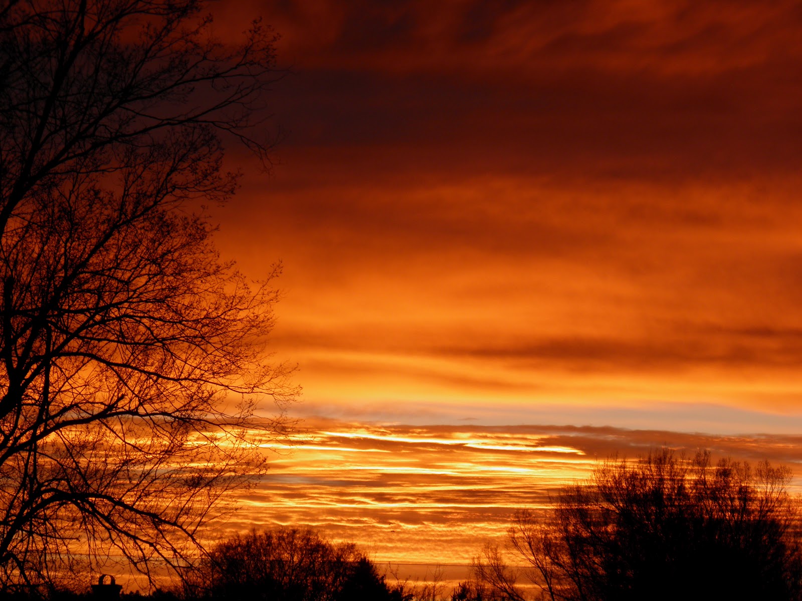 walking flagstaff: sunsight