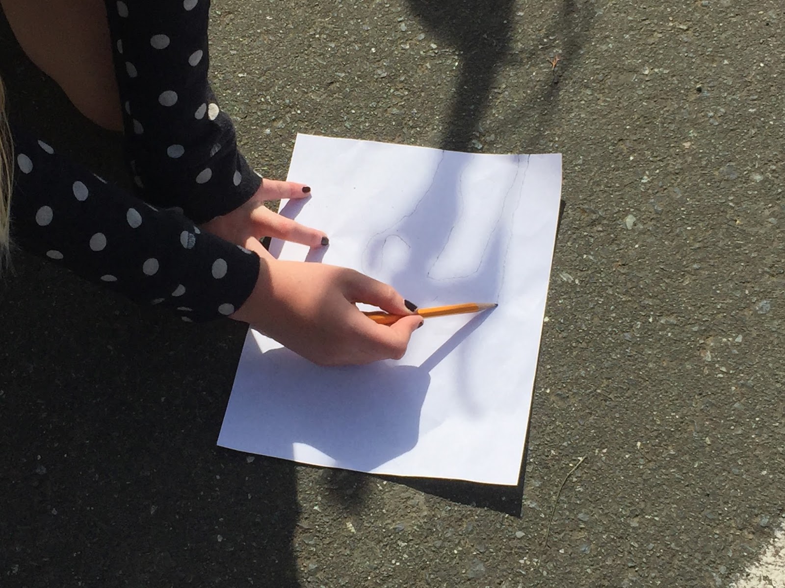 Middle School Shadow Art