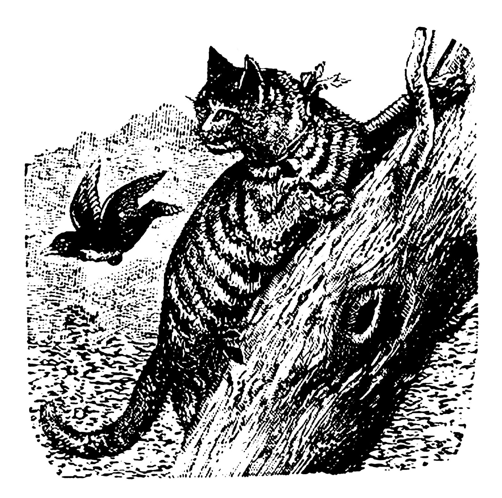 The Graphics Monarch: Free Antique Illustrations Cat Hunting Bird ...