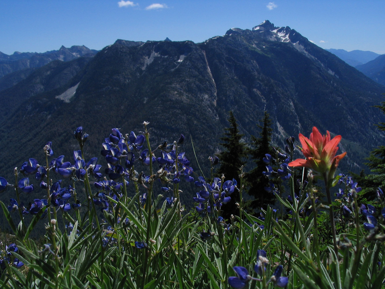 Stehekin Heritage: The Amazing Upper Stehekin Valley