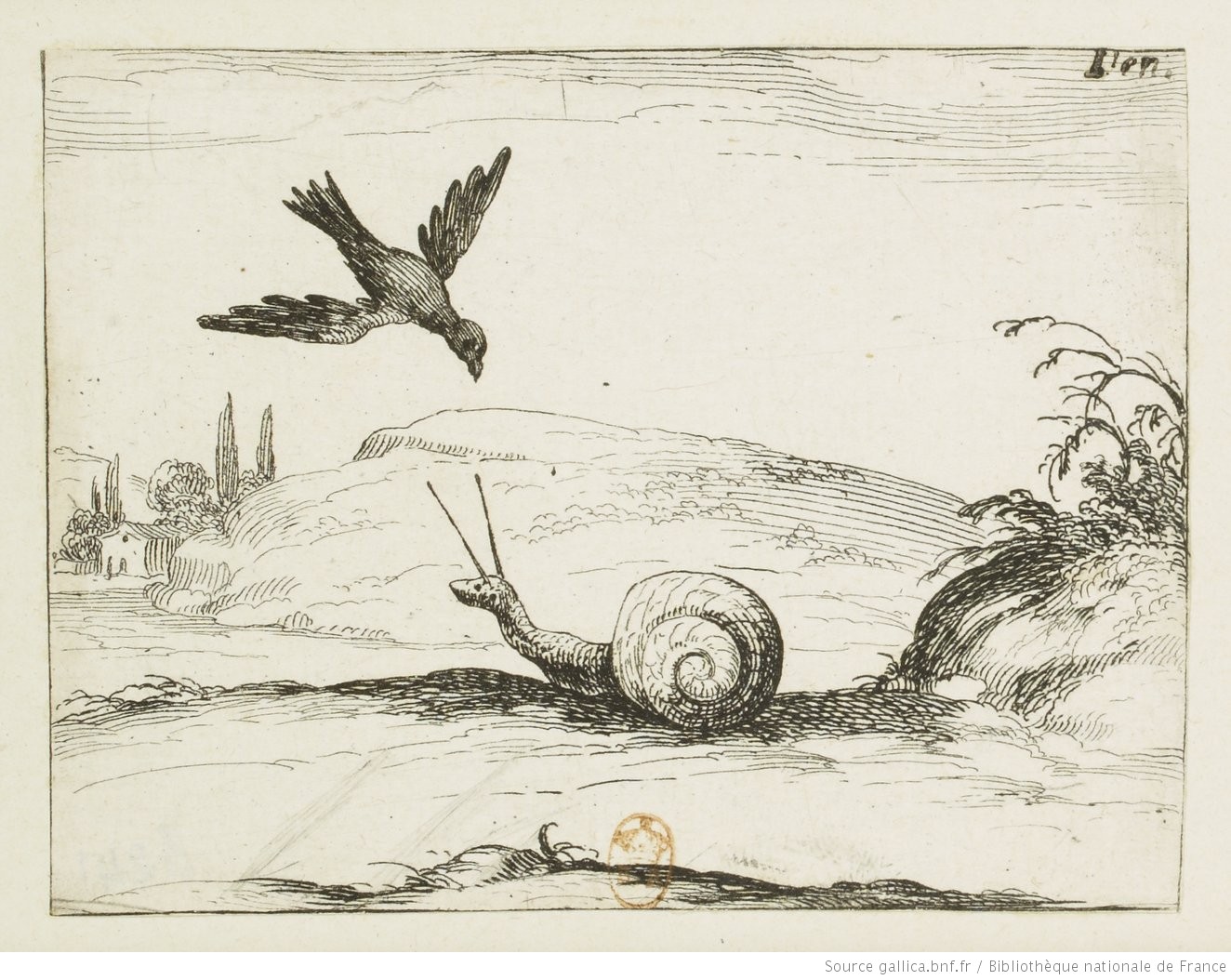 Drawing : Why draw animals?