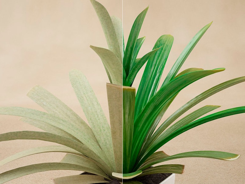 'Invention of the Week' from InventionHome.com: InventionHome Featured ...