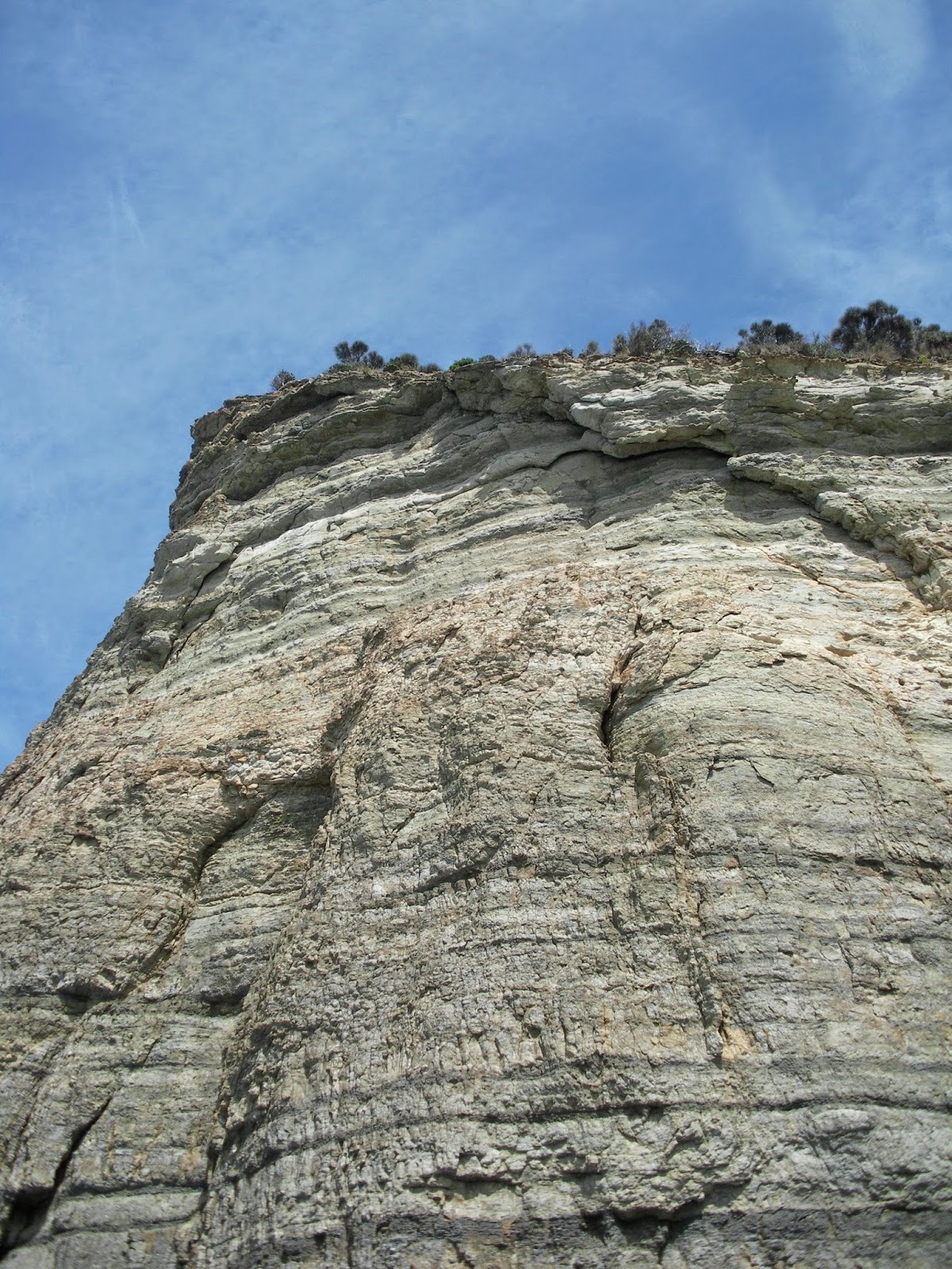Shipstern Bluff and Tunnel Bay | Hiking South East Tasmania