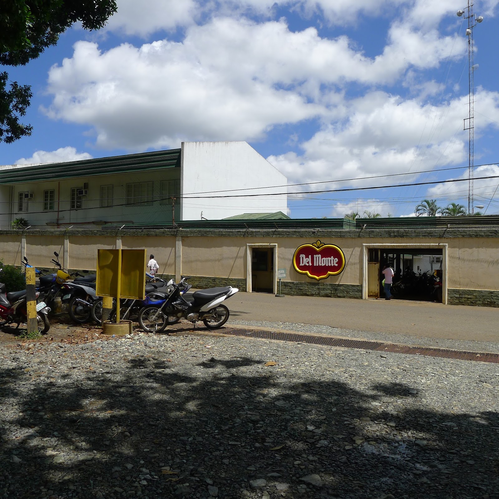 Splash of Yellow: Day Trip to Bukidnon