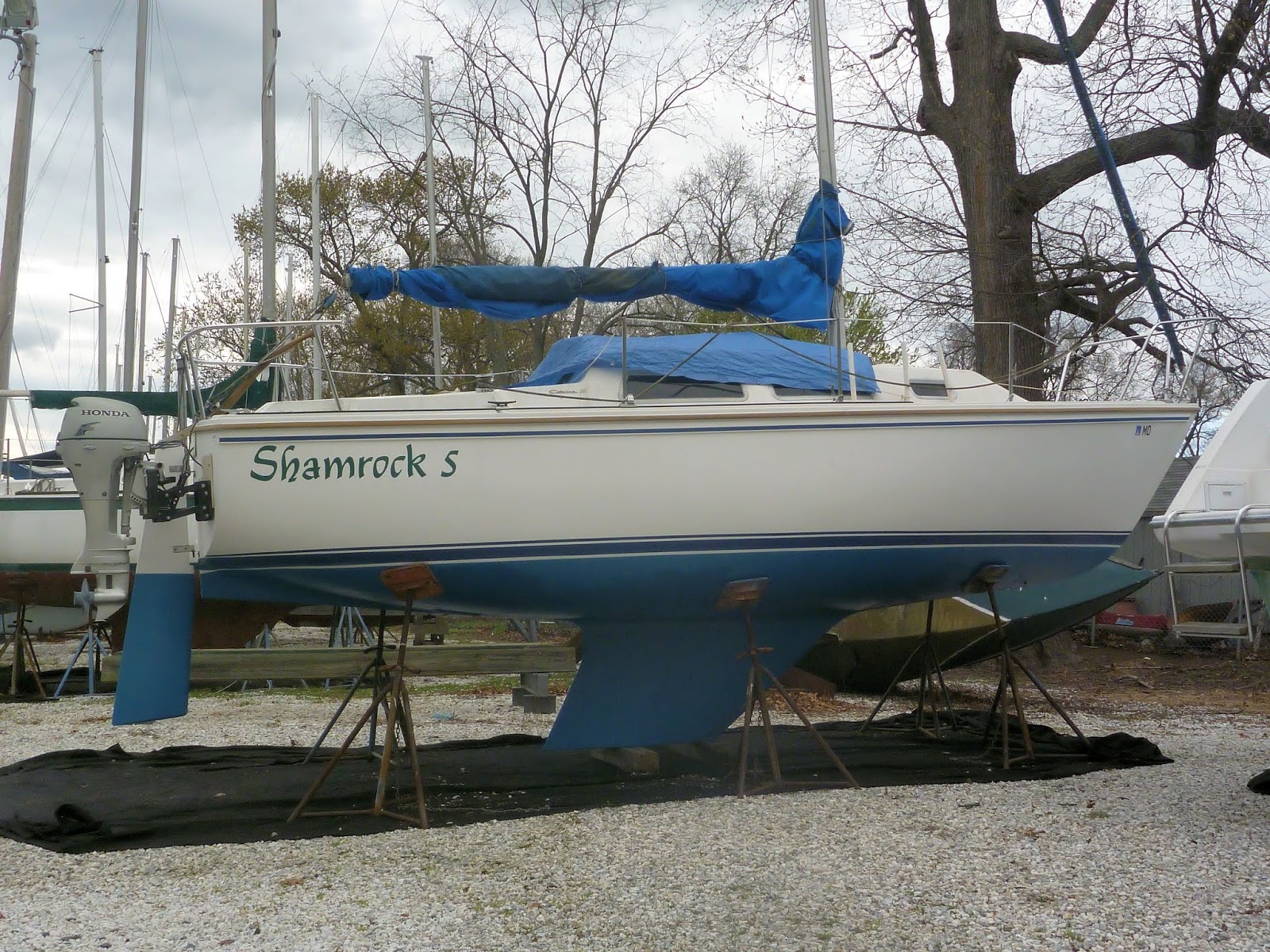 s/v Shamrock 5 : S/V Shamrock 5
