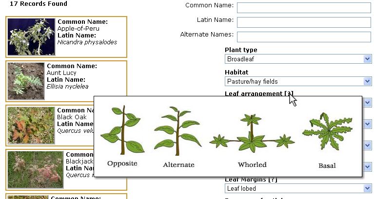 Missouri Beginning Farming: Know Your Enemy: MU Website Helps ID Common ...