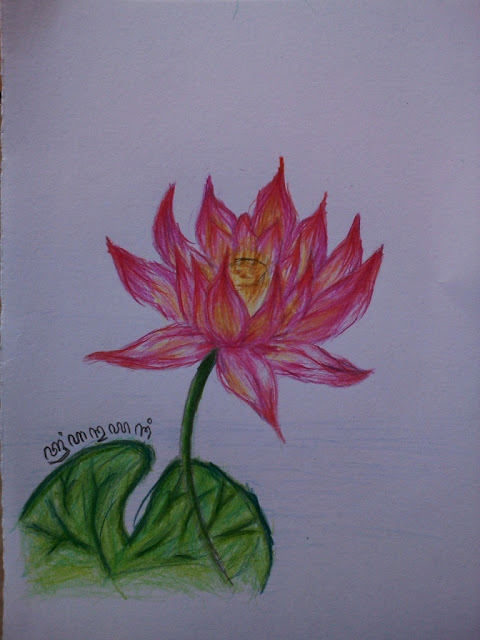 Sketsa Bunga Lotus