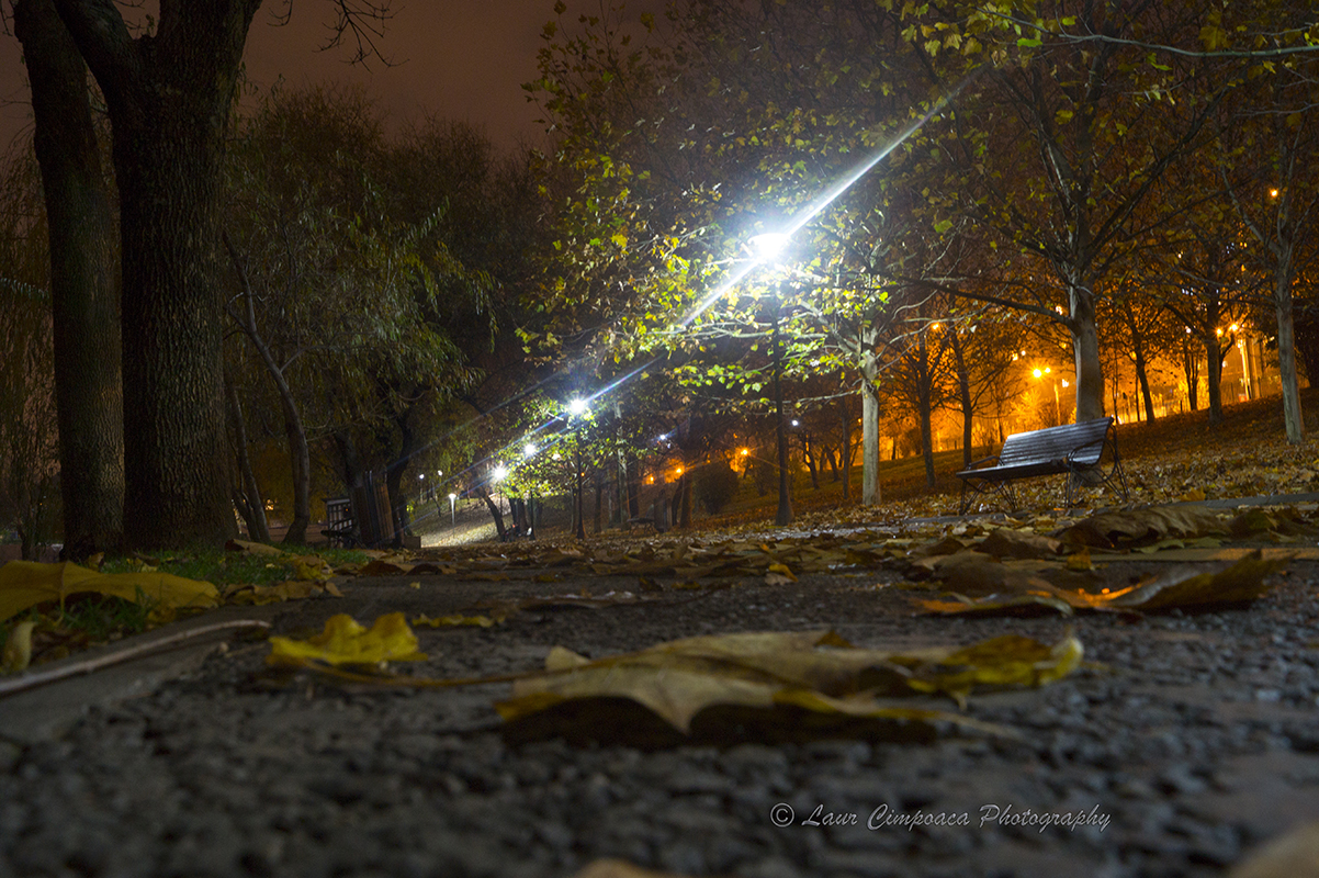 (c)Photography beyond words,poze,fotografii,photo from Romania: Noaptea ...