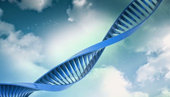 LEZIONI DI GENETICA: CONVERSIONE GENICA