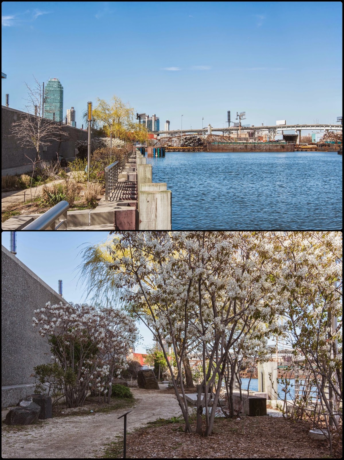 Curiosités et futilités à New York