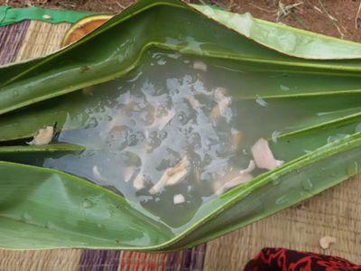 Vaniensamayalarai: Neera With Unripe Palm Fruit / Neera Nongu / Painni ...