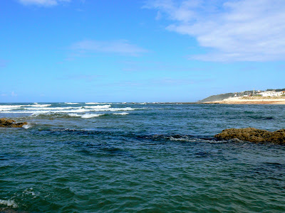 Marés Vivas de Ciência: As marés