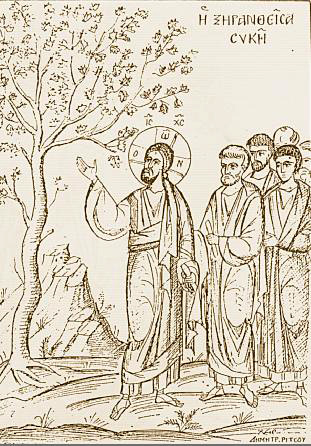 ORTHODOX CHRISTIANITY THEN AND NOW: Why Did Christ Curse the Fig Tree?