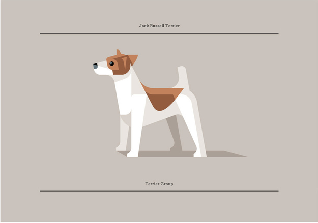 Retratos geométricos de perros