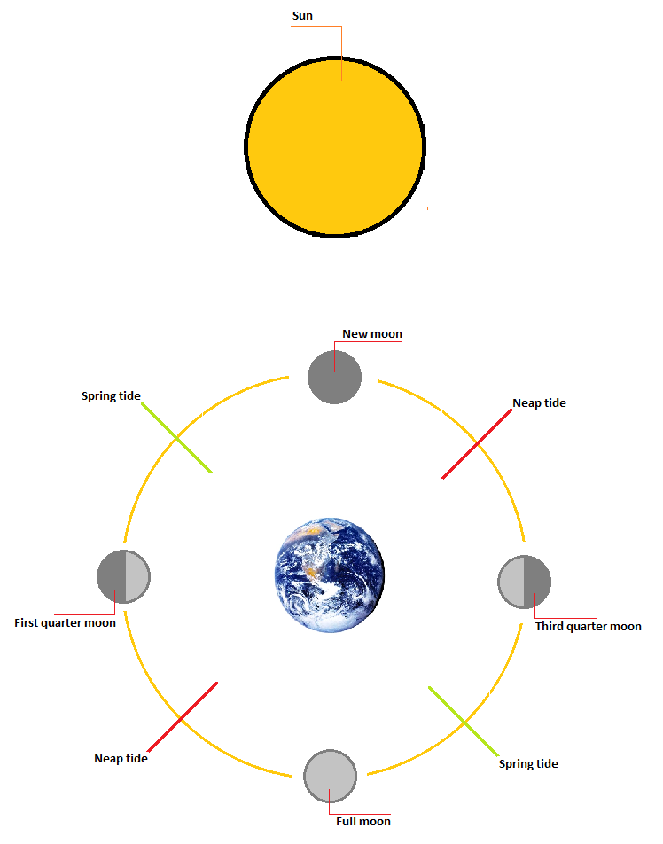 Expedition Earth: How tides are formed