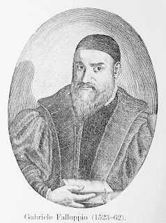 Gabriele Falloppio – anatomist and physician | Italy On This Day