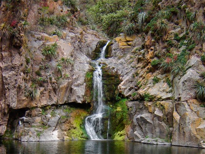 Río Ceballos Facebook Fotos