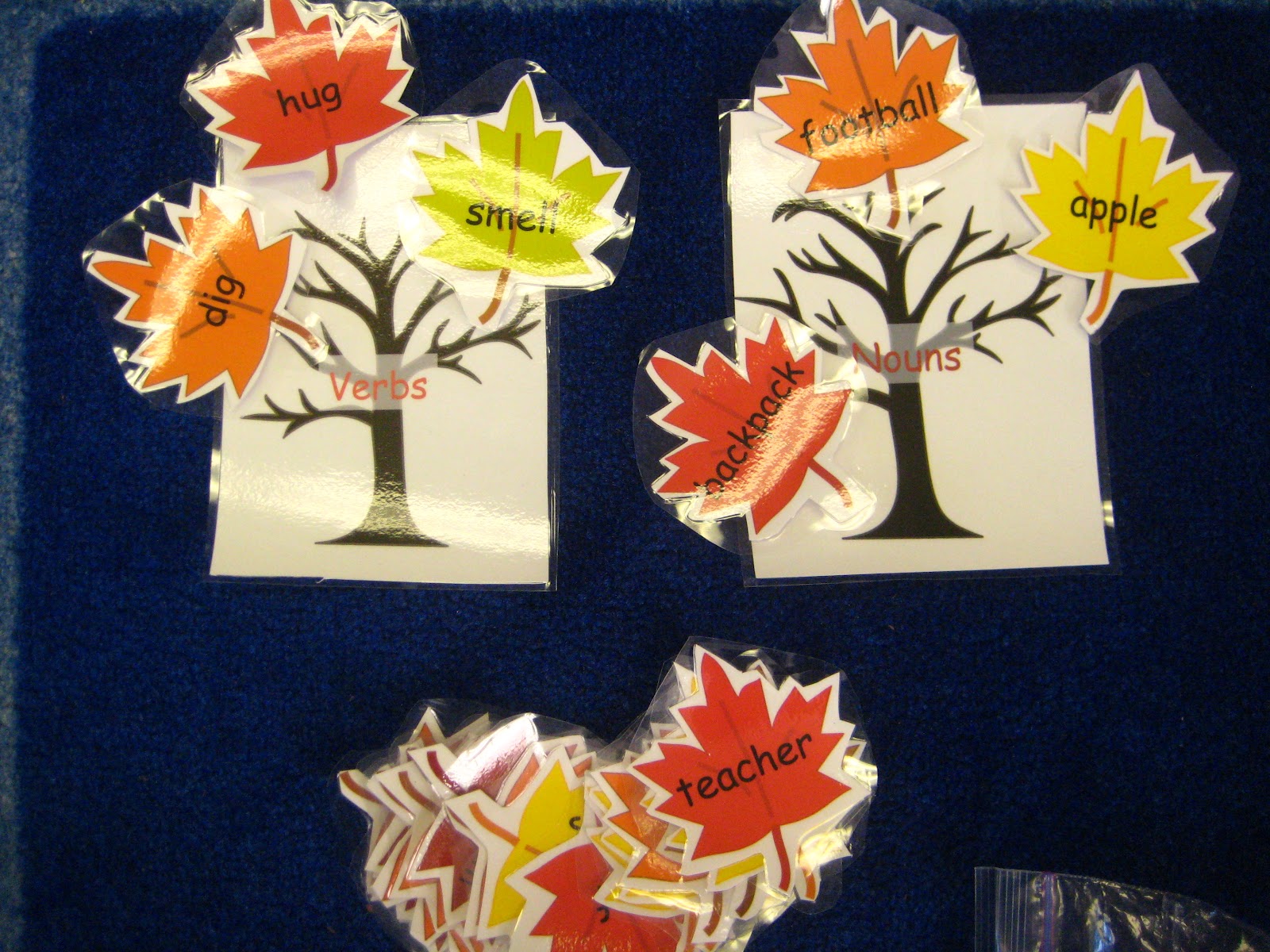 Savvy in Second: Fall Grammar Center