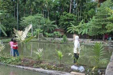 Budidaya Ikan Nila Sistem Polikultur - cara ternak ikan