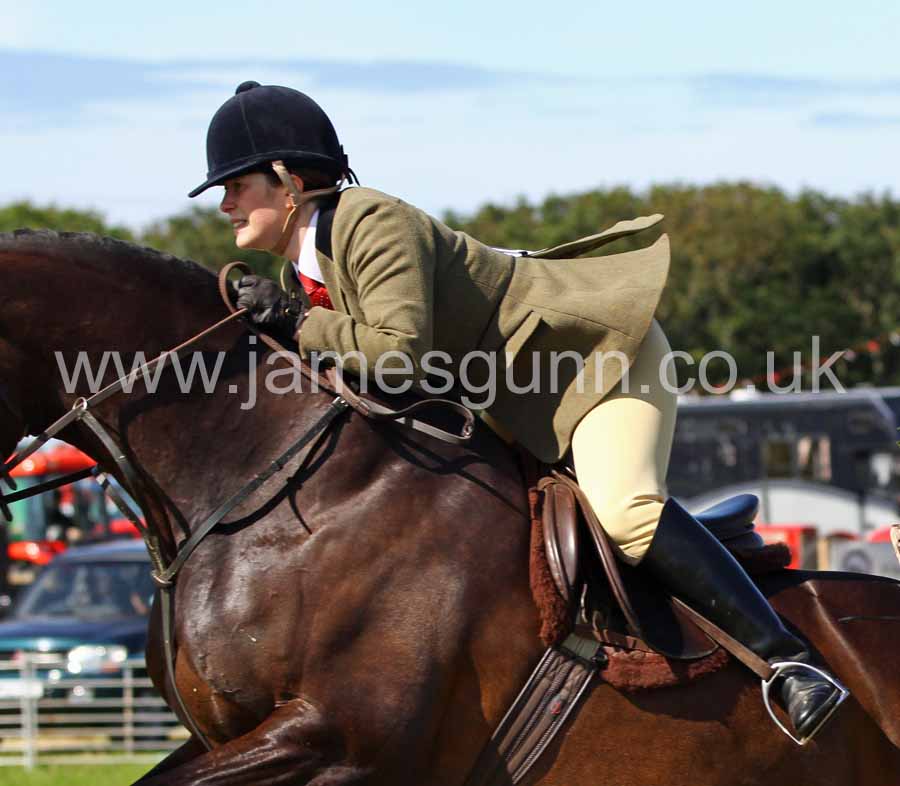 James Gunn Photography: Working Hunter jumping at the Caithness Show