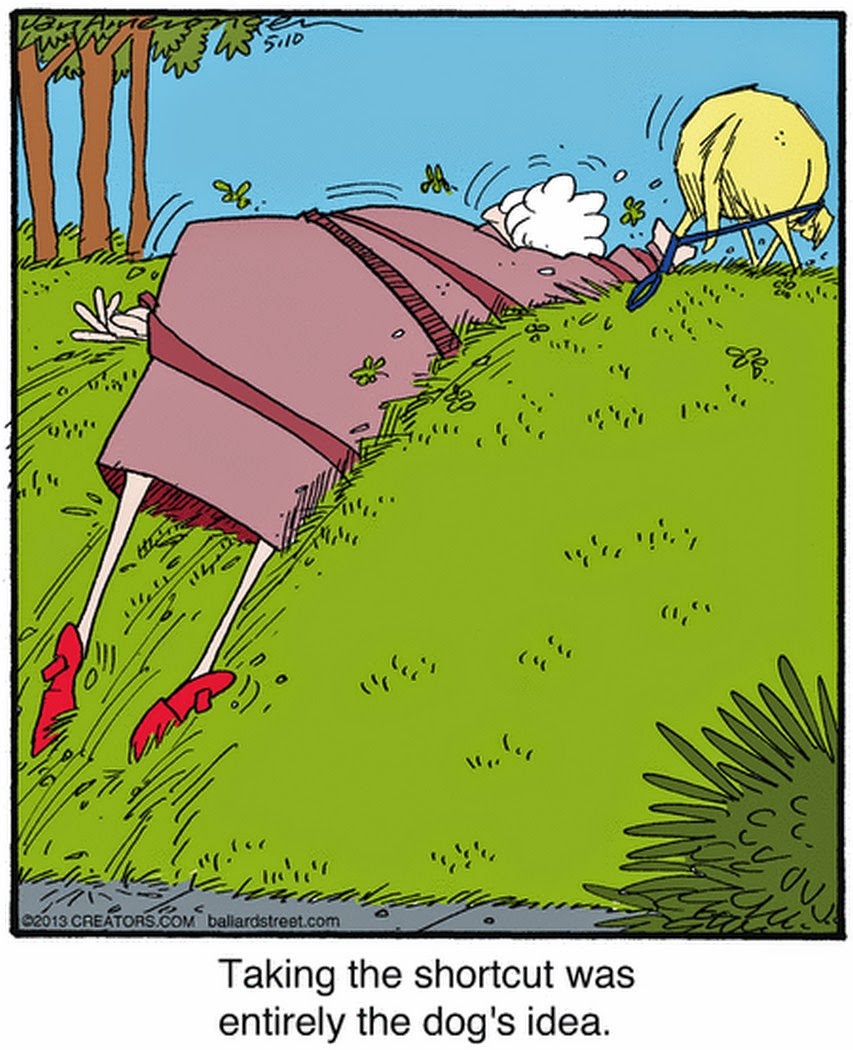 Chuck's Fun Page 2: A dozen nutty cartoons