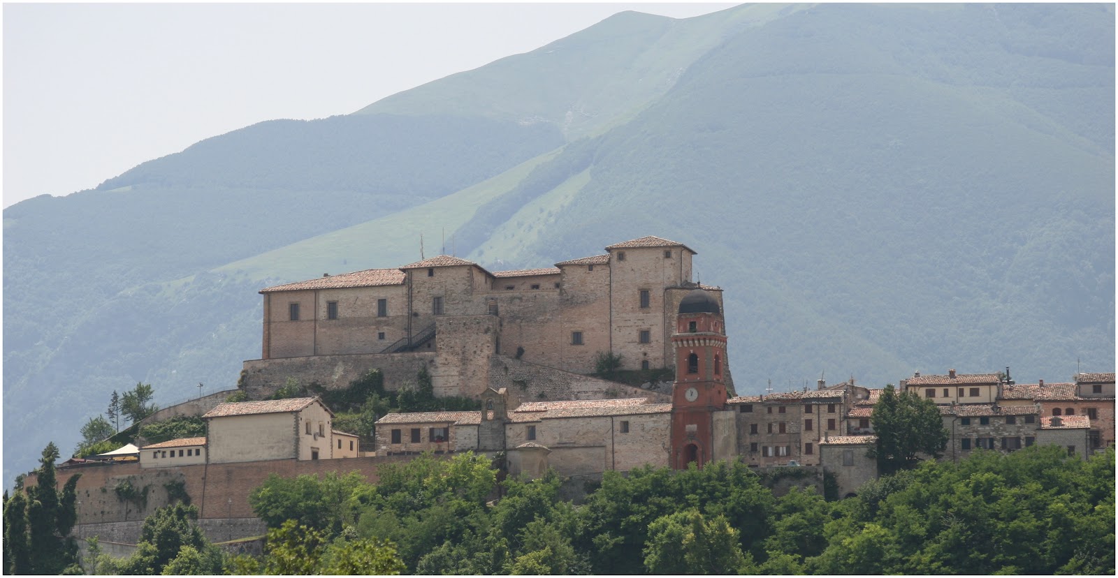 Tra Catria e Adriatico natura e storia: Cronache ornitologiche dalla ...