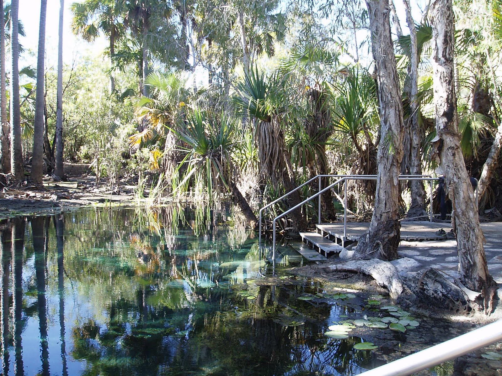 The Travelling Novocastrians: Mataranka - Northern Territory (Double ...
