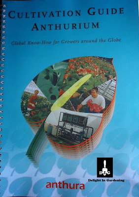 D.I.G THIS!!!: Anthurium Adventure