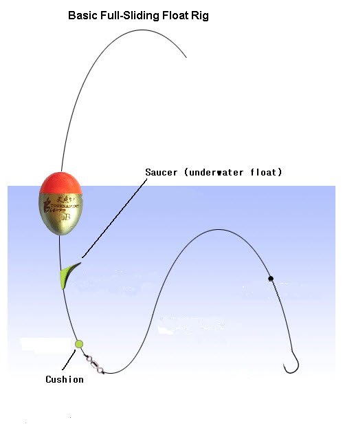 Fishing Tour in Korea: Full-Sliding Float Rig