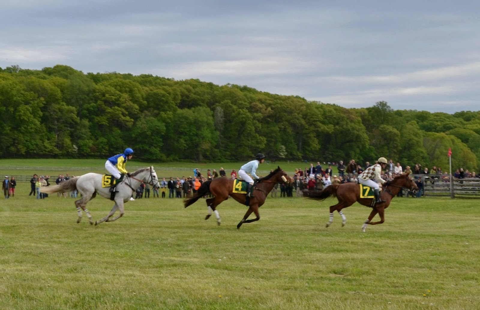Let the Tide Pull Your Dreams Ashore: Maryland Hunt Cup II