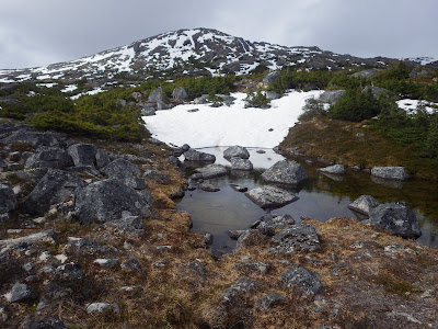 Dave'n'Kathy's Vagabond Blog: Tormented Valley and Summit Lake in the ...