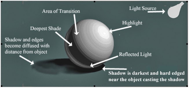Mr. Fox: Visual Art Foundations: Light & Shade Study