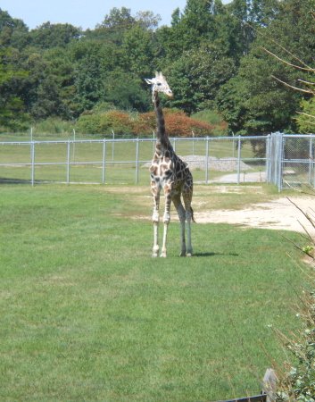 Pennsylvania & Beyond Travel Blog: Family Fun at the Cape May County ...