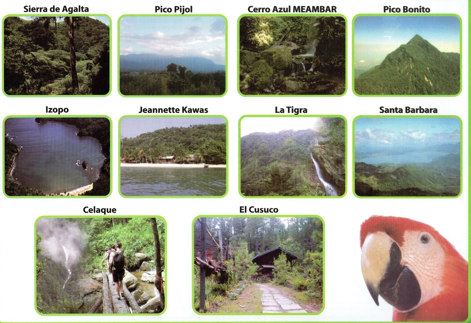 Mapa De Parques Nacionales Y Areas Protegidas En Bolivia