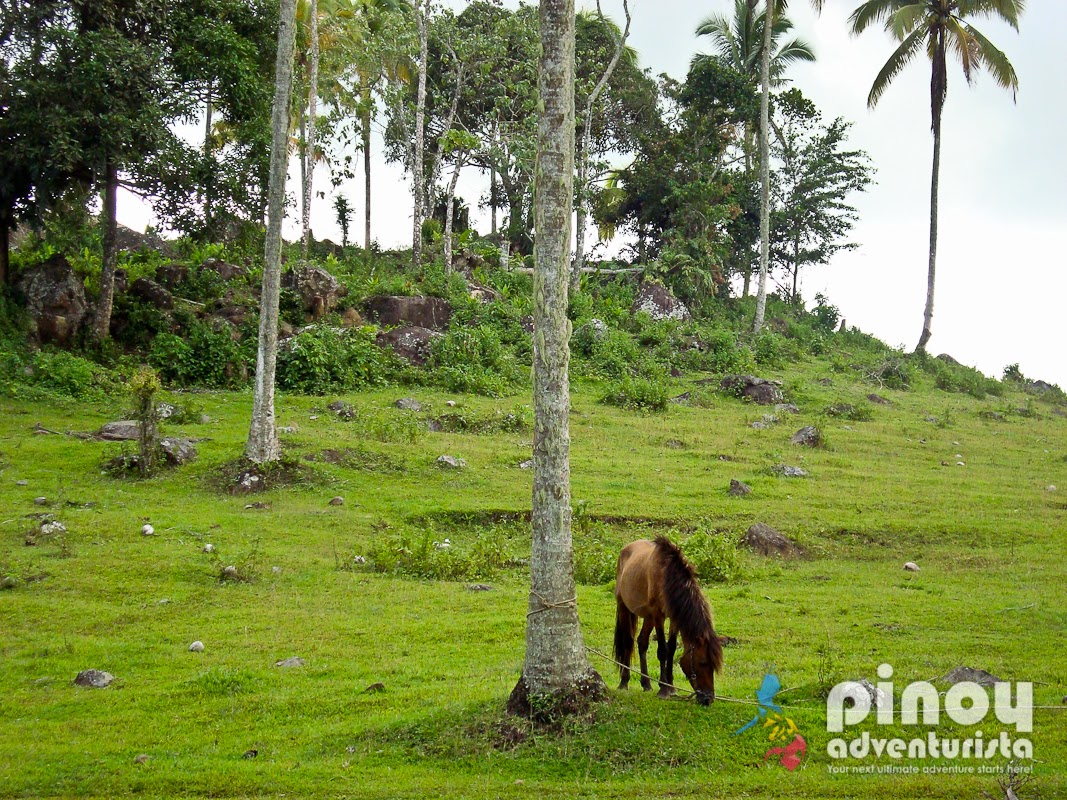 TRAVEL GUIDE: 10 THINGS TO DO IN PAGADIAN (Tourist Spots, Attractions ...